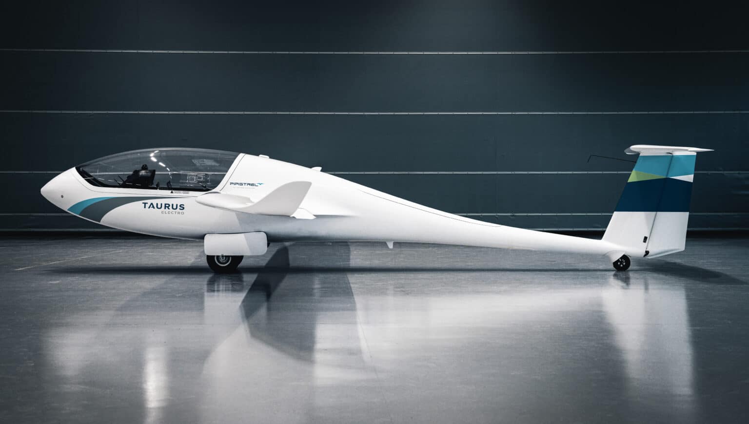 Taurus Electro - Pipistrel