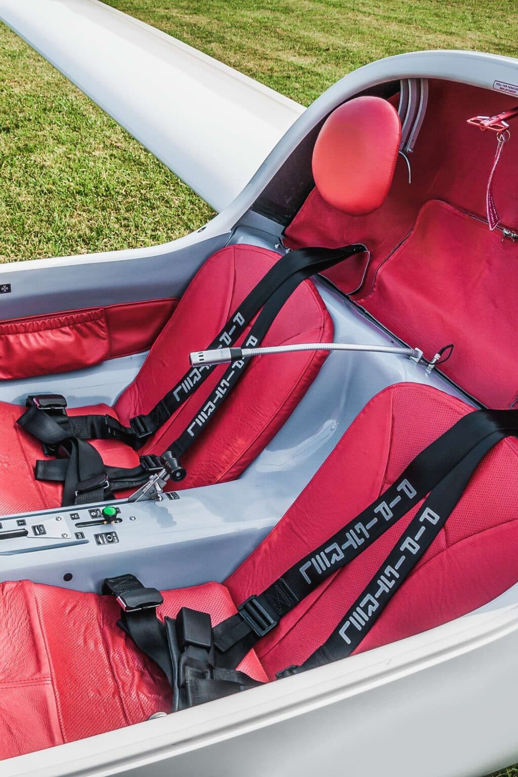 Taurus Electro - Pipistrel